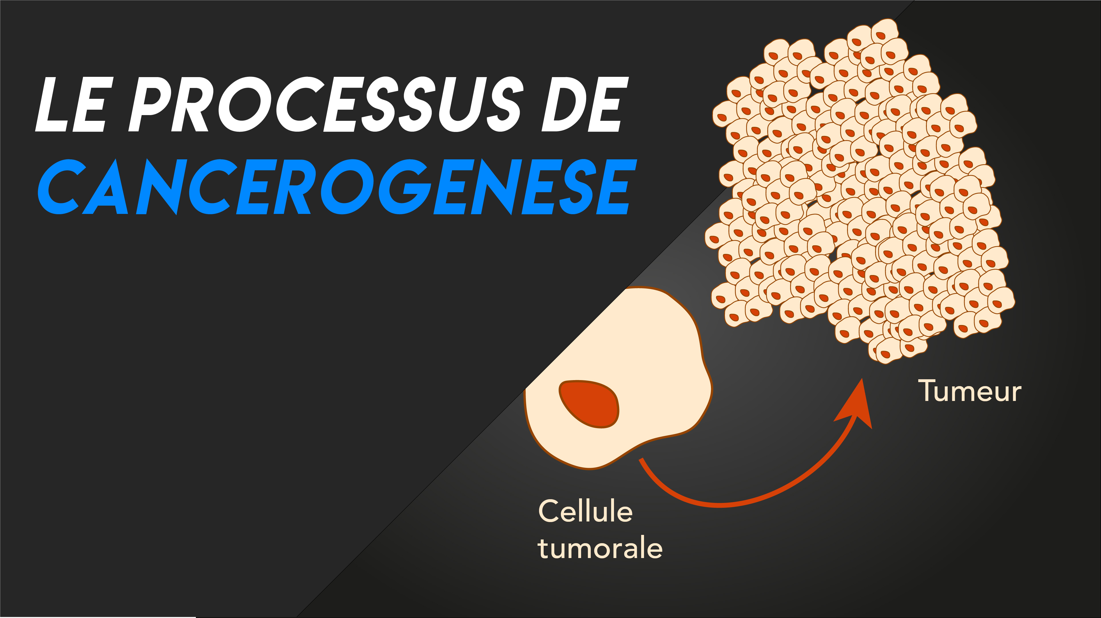 Le processus de cancérogénèse - Sharpen Picture